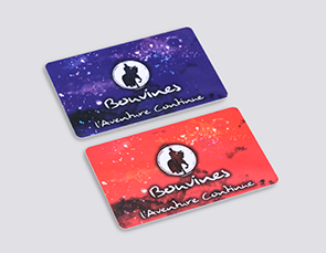 Cartoflex (www.carte-badge-plastique.com)